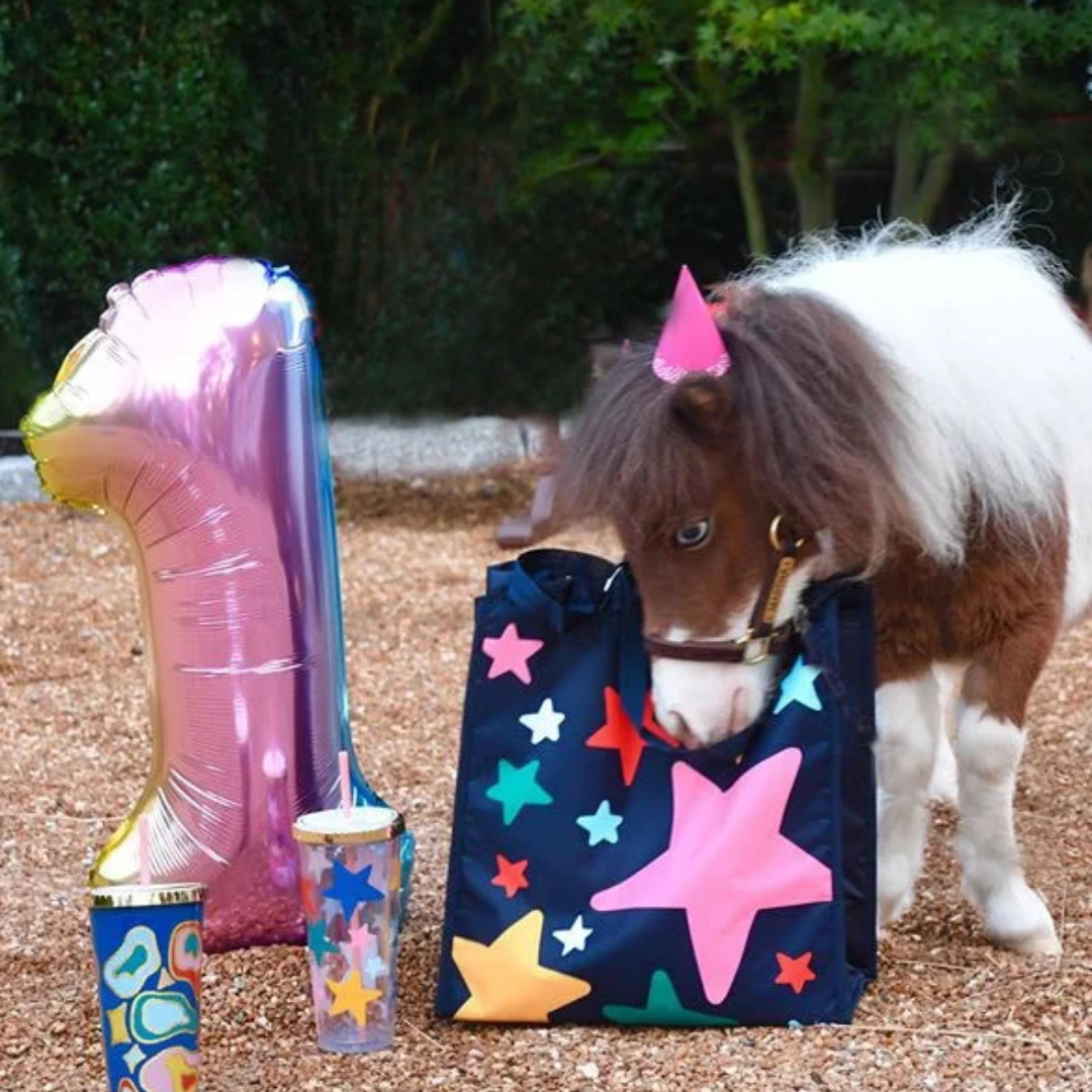 R&R Ranch Miniature Horse Sanctuary – R&R Ranch Miniature Horse Sanctuary