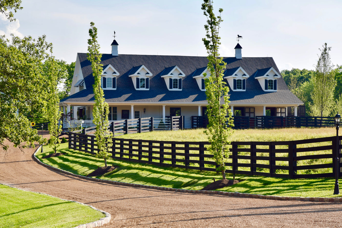 Contact – R&R Ranch Miniature Horse Sanctuary