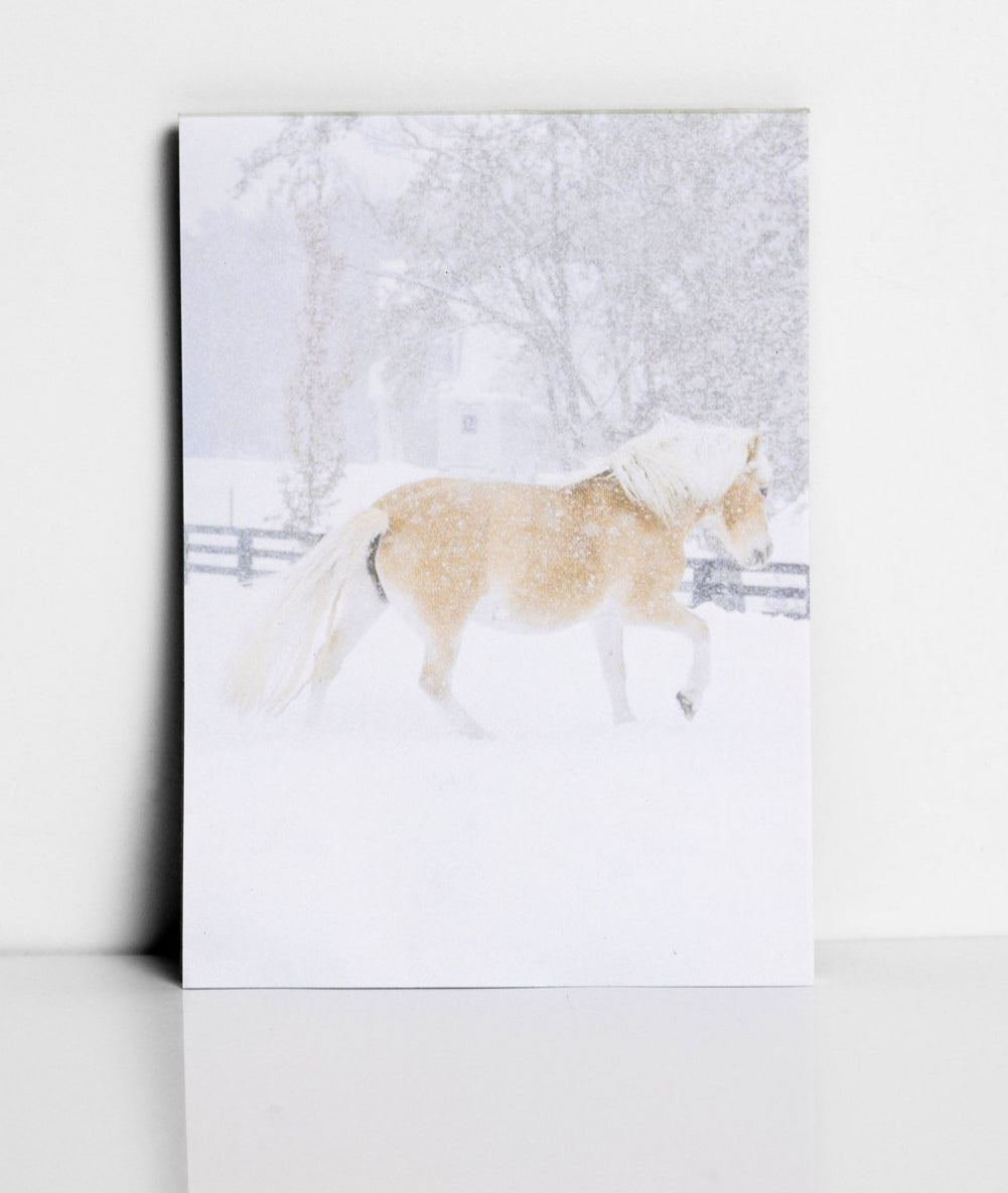 Notepads – R&R Ranch Miniature Horse Sanctuary