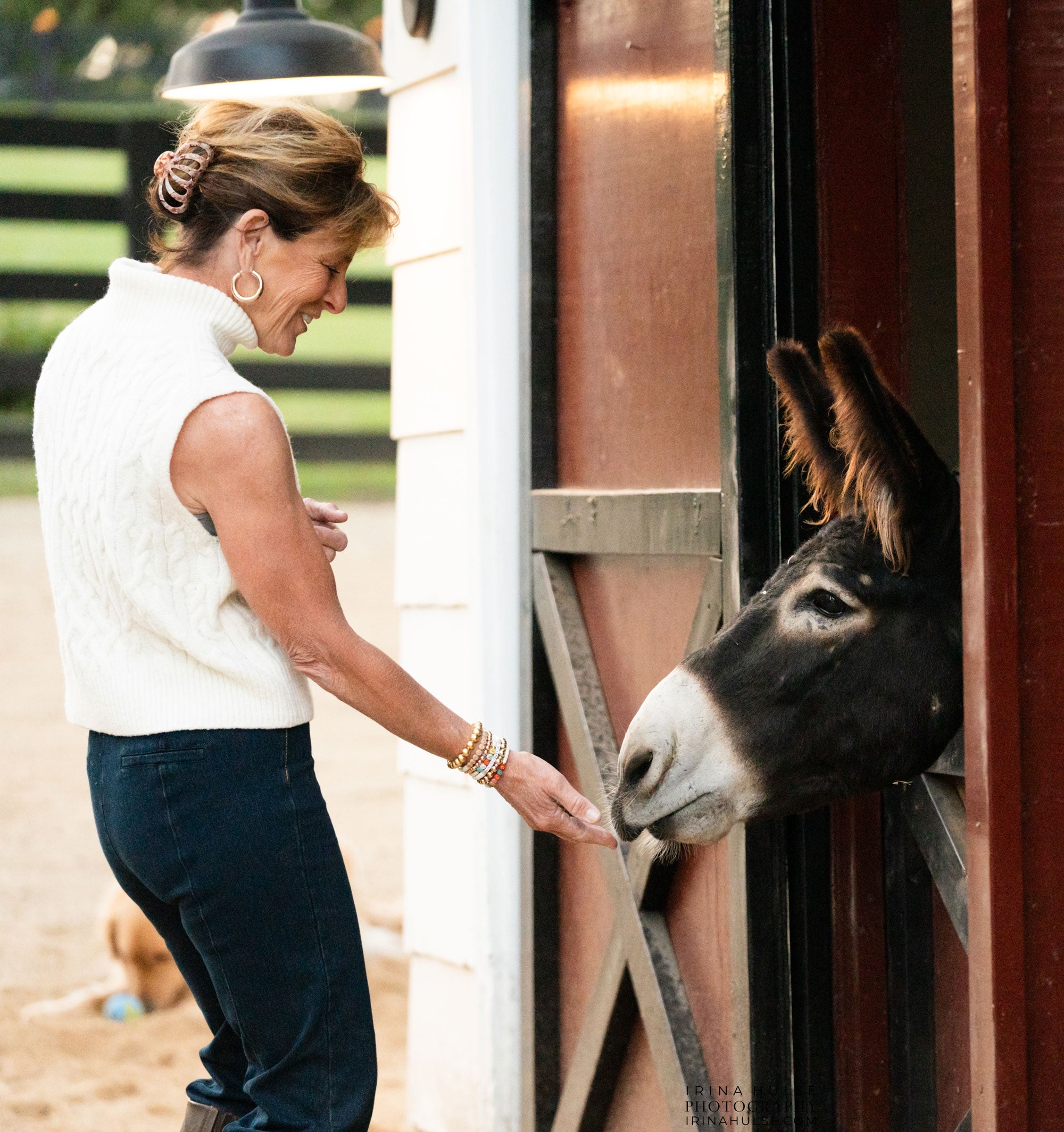 R&R Ranch Miniature Horse Sanctuary – R&R Ranch Miniature Horse Sanctuary