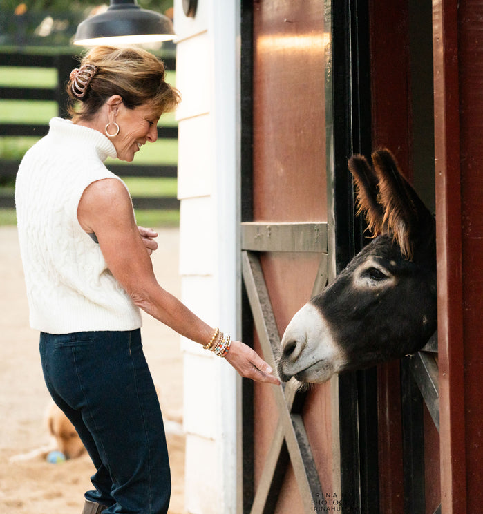 R&R Ranch Miniature Horse Sanctuary – R&R Ranch Miniature Horse Sanctuary