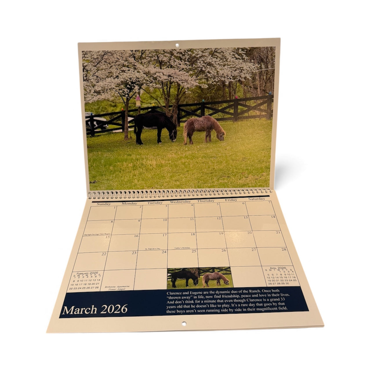 2026 R&R Ranch Calendar – R&R Ranch Miniature Horse Sanctuary