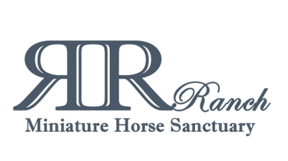 Publicity Test – R&R Ranch Miniature Horse Sanctuary