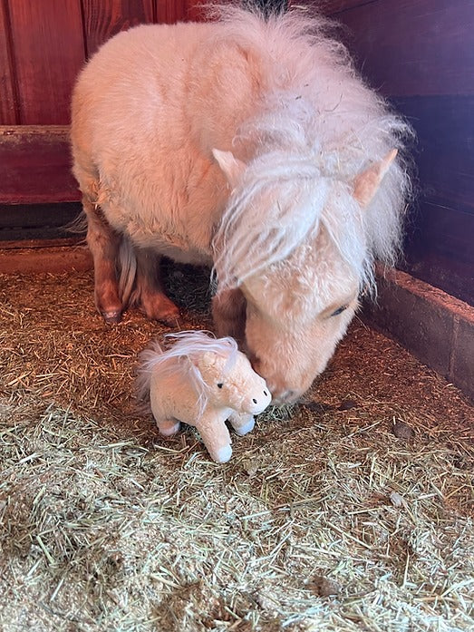 Georgie Plush – R&R Ranch Miniature Horse Sanctuary